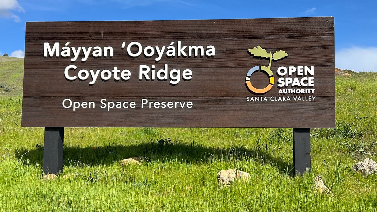Welcome to Máyyan ‘Ooyákma — Coyote Ridge | by Susan Alcorn | Apr, 2024 ...