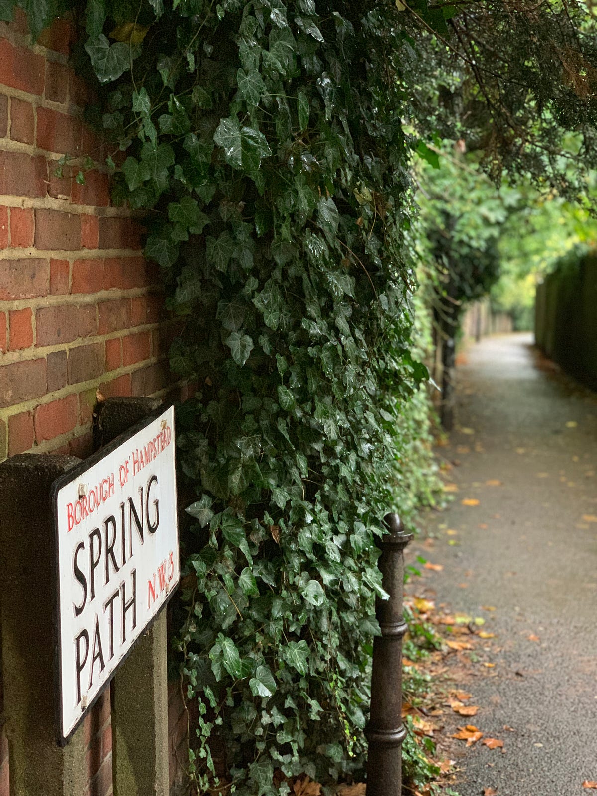 Spring Path. “Spring path, | by Gabriel Troiano | Medium