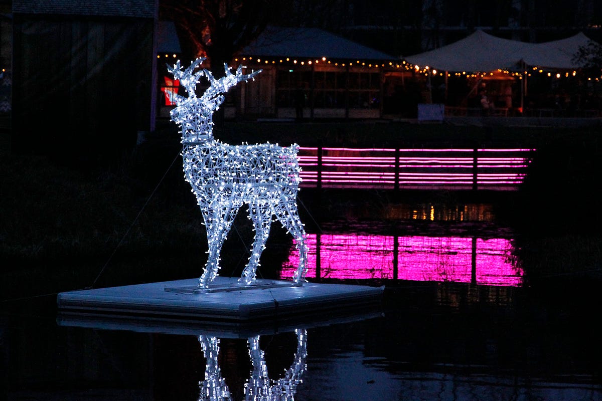 Reindeer Floating on the Park Pond | by Iban Van der Zeyp | Six Word ...