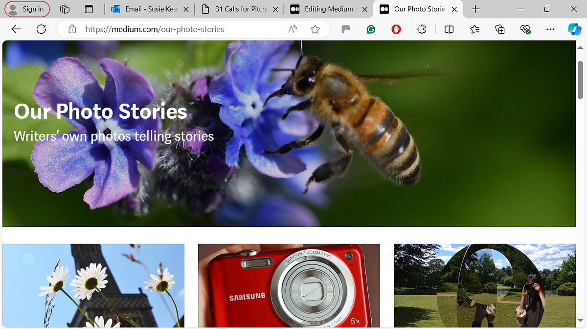 Medium Stats: The Power of Publications | by Susie Kearley | All About M | Jul, 2024 | Medium