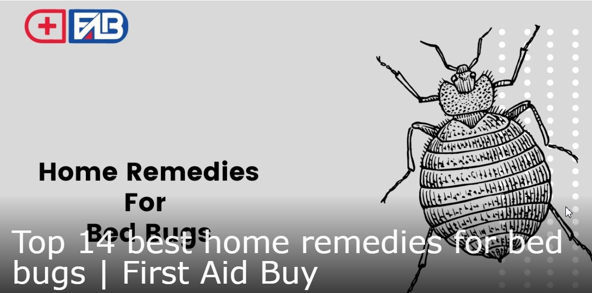 How To take away Bed Bugs From A pad | by Sabuislam | Medium