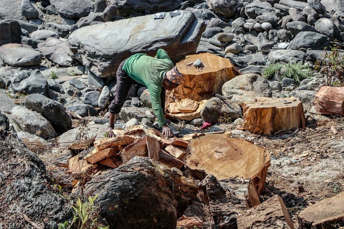 Unraveling the Human Drive: Why We Keep Ourselves Busy | by HK | Jul ...