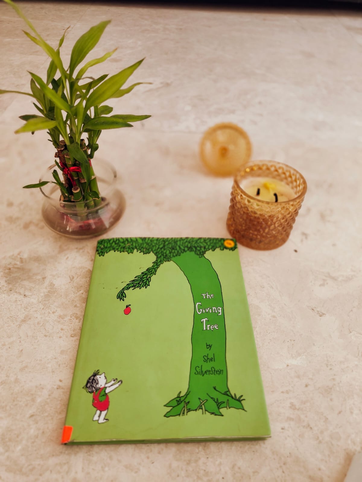 Lessons from a Giving Tree. Last night, I read a beautiful… | by ...