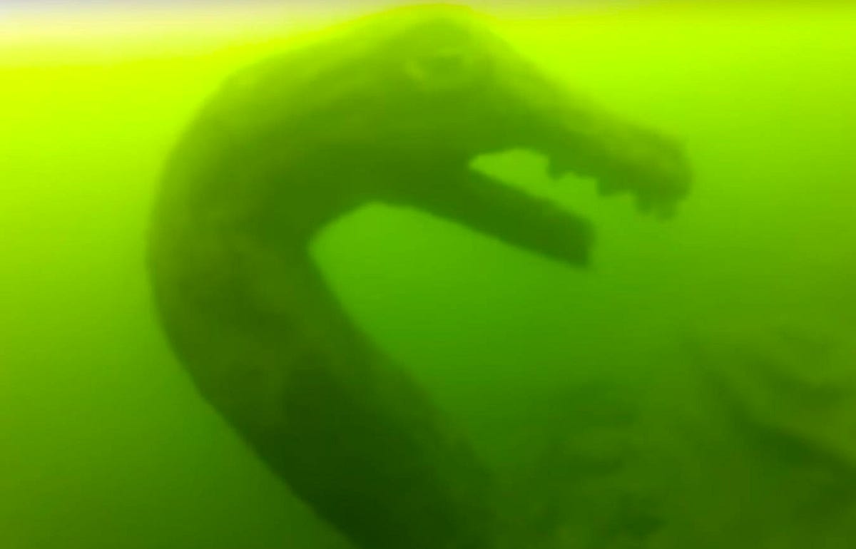 Ogopogo — Canada’s Mysterious Lake Creature | by The Unexplained | May ...