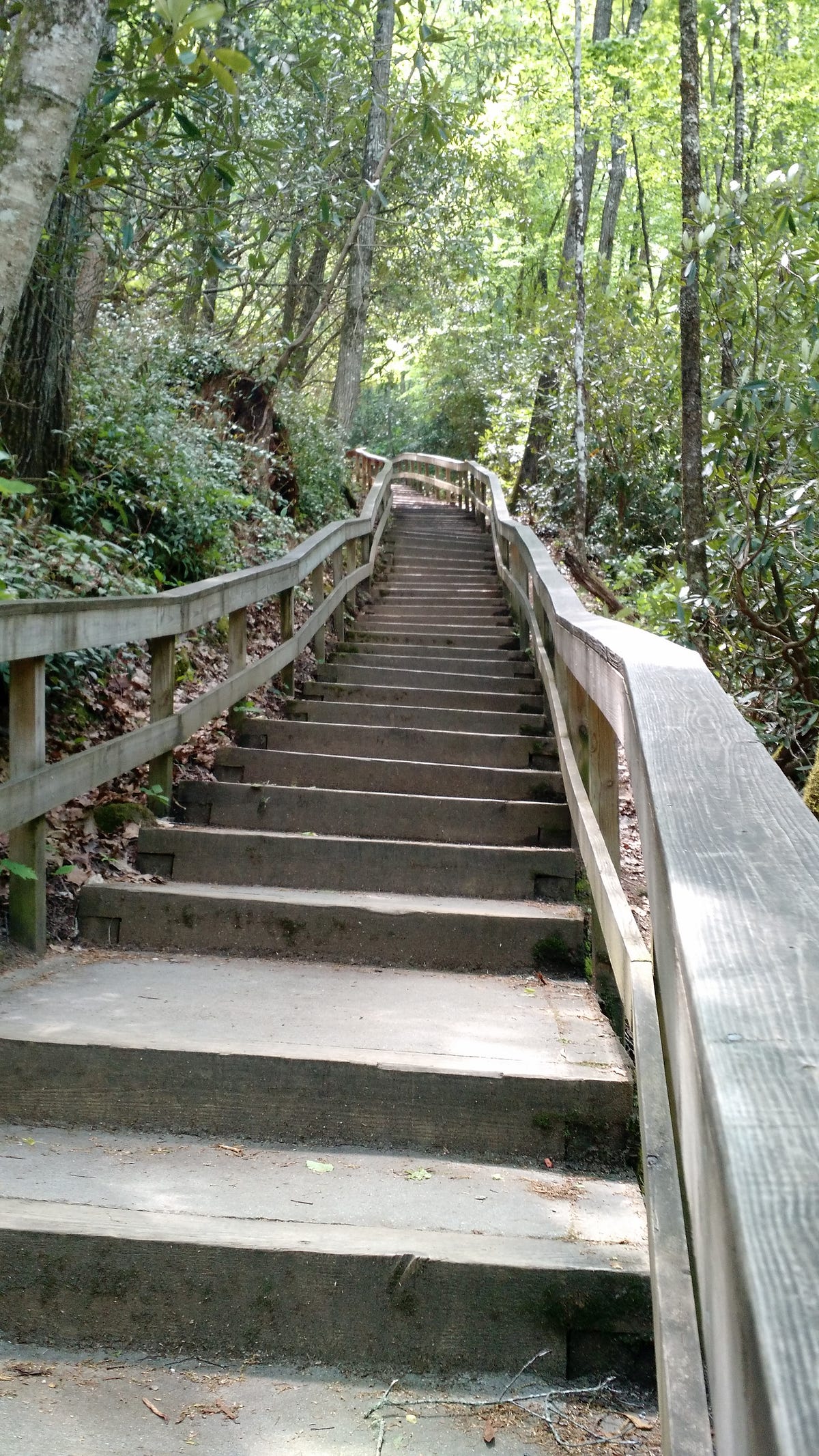 Wishing her life into being. Invisibility can be powerful and safe | by Anita Adams | Medium