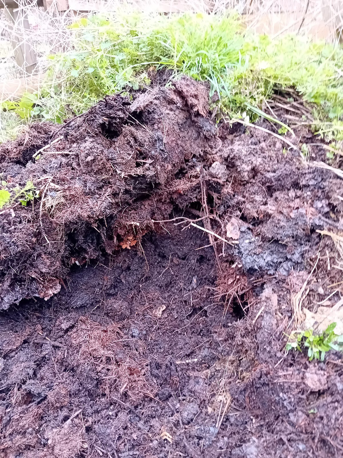 Happiness Is . . . A Compost Heap | by Bernard Ray | Gardening, Birding ...