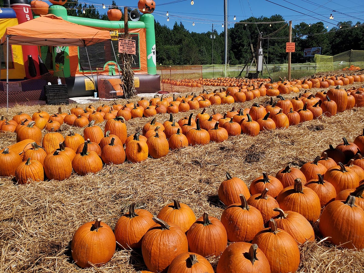 Pumpkin Patches, Apple Picking, Corn Mazes. . . OH MYLE!!! | by MYLE ...