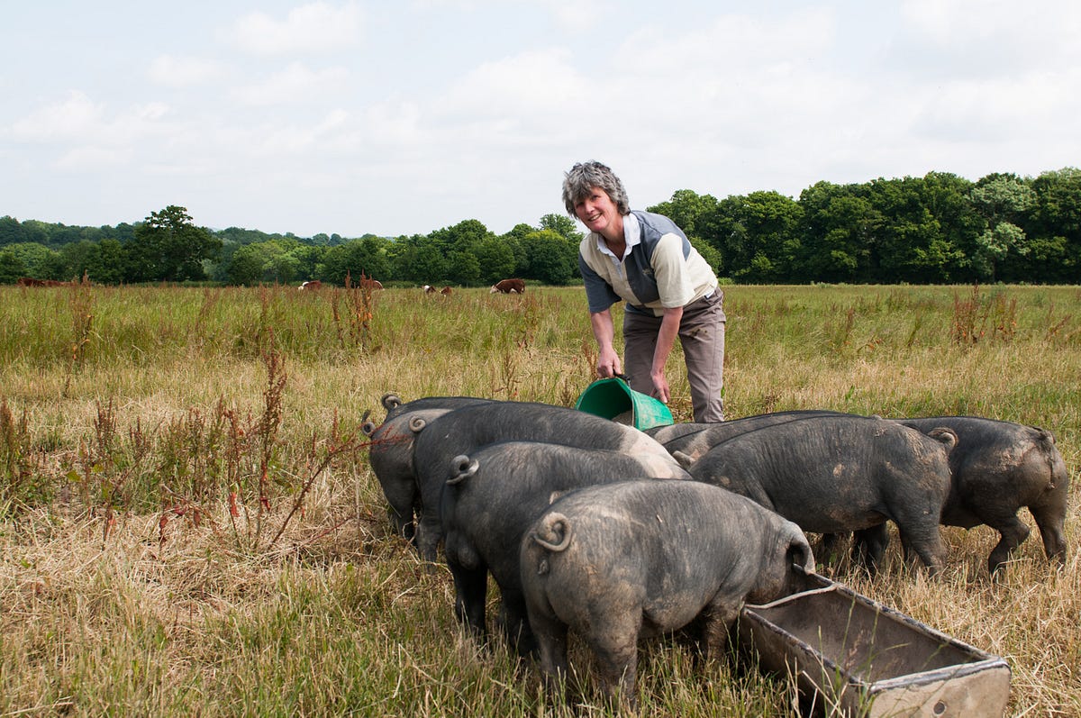 Showcasing: Romshed Farm. Just south of Sevenoaks, down a windy… | by ...