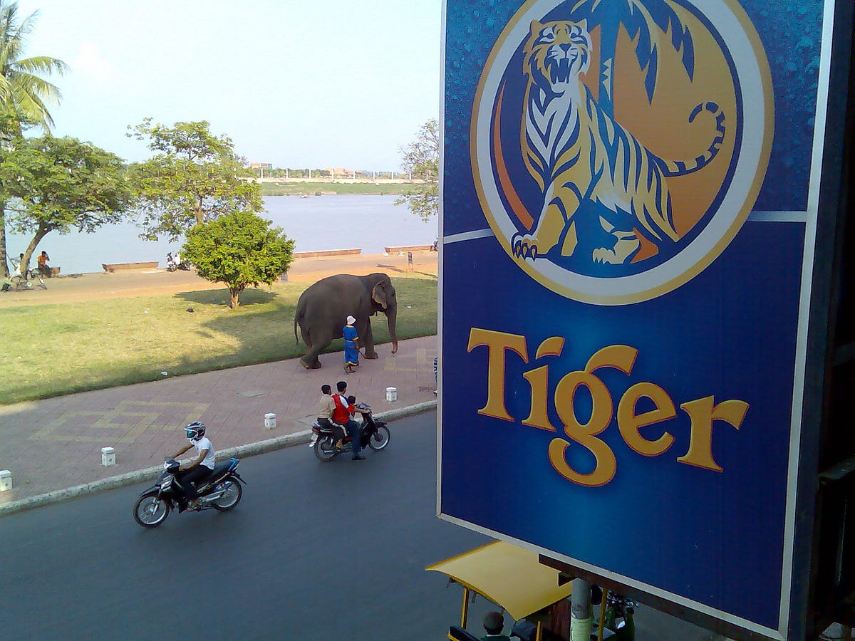 She Lived Through A Lot Of Changes | by Lisa Cunningham DeLauney | Oct ...