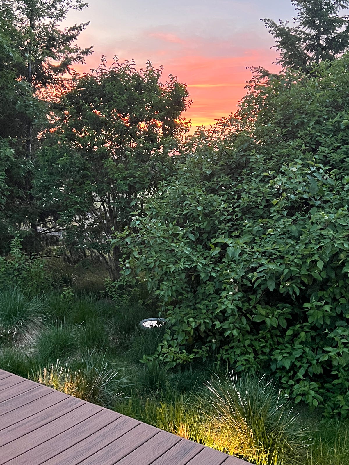 Seeing With One Eye-Book 3 CH. 3 | T. Sparley | The Daily Cuppa Grande