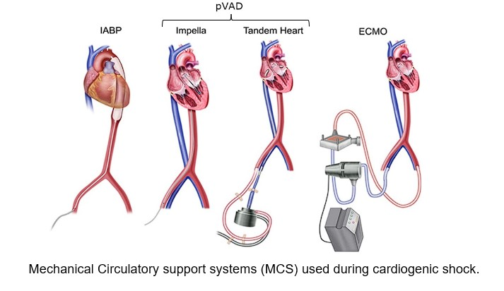 Predicting Blood Flow Rate. Introduction | by TechLabs Aachen | Medium