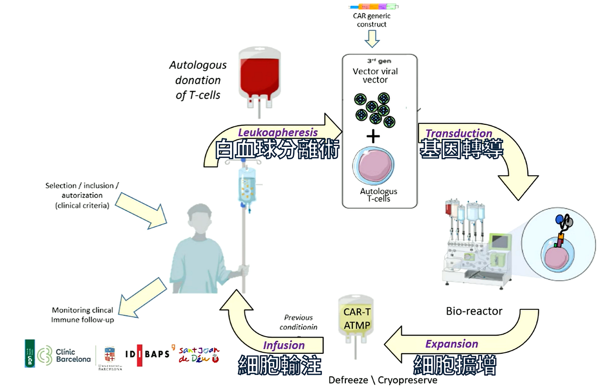 細胞治療懶人包：血液科醫師持續更新的筆記 (Cell therapy, CAR-T for Dummies) - Clinical Gems ...
