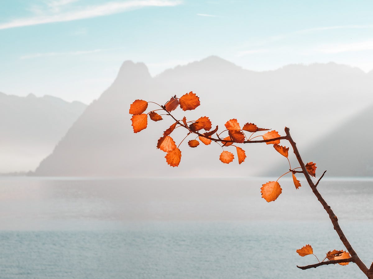 This Is What It Means to Bring Glory to God | by Mishael Witty ...