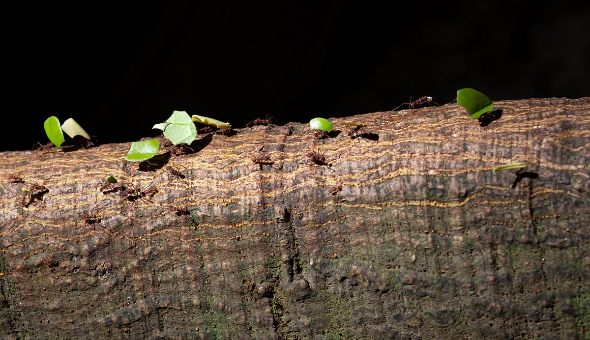 Building Microservices with FastAPI — Part II — A Microservice ...