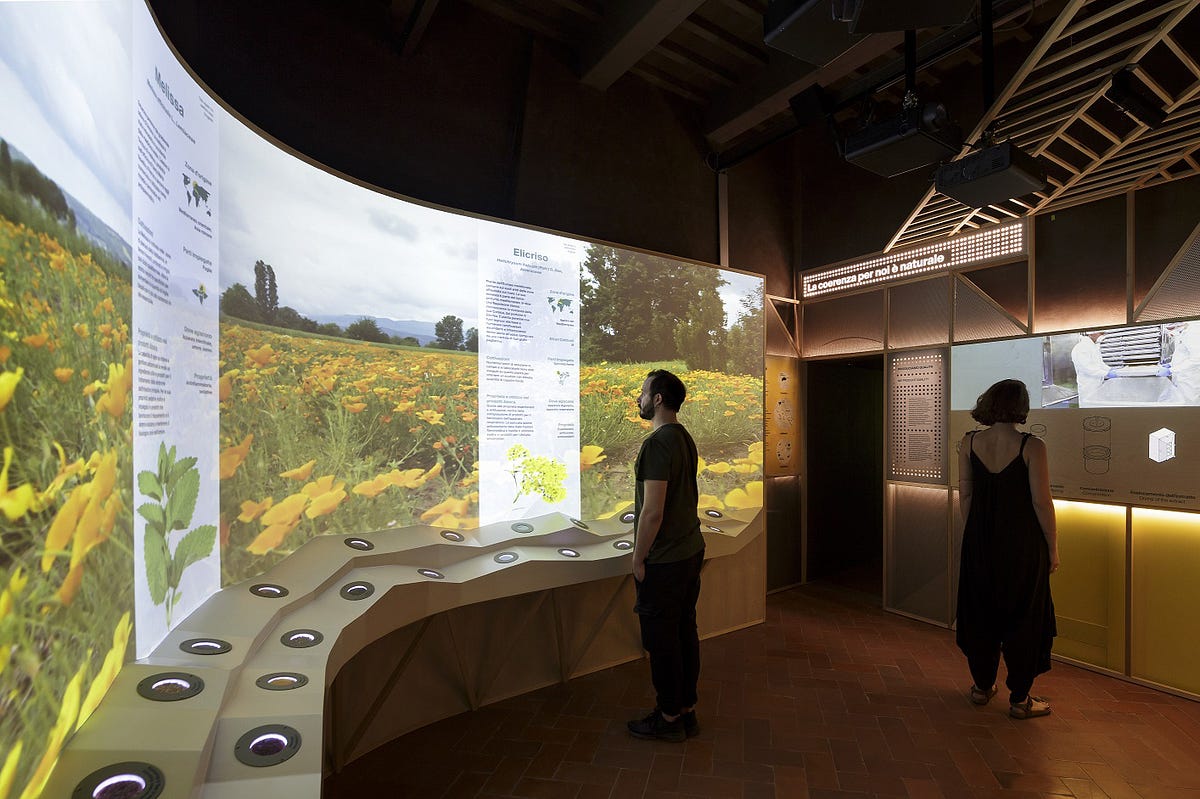 Interactive Museum Exhibit Design