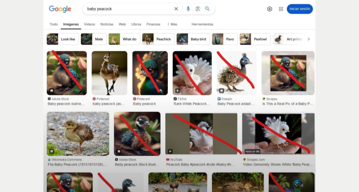 The Dead Internet Theory: Are Algorithms Taking Over Our World? | by ...
