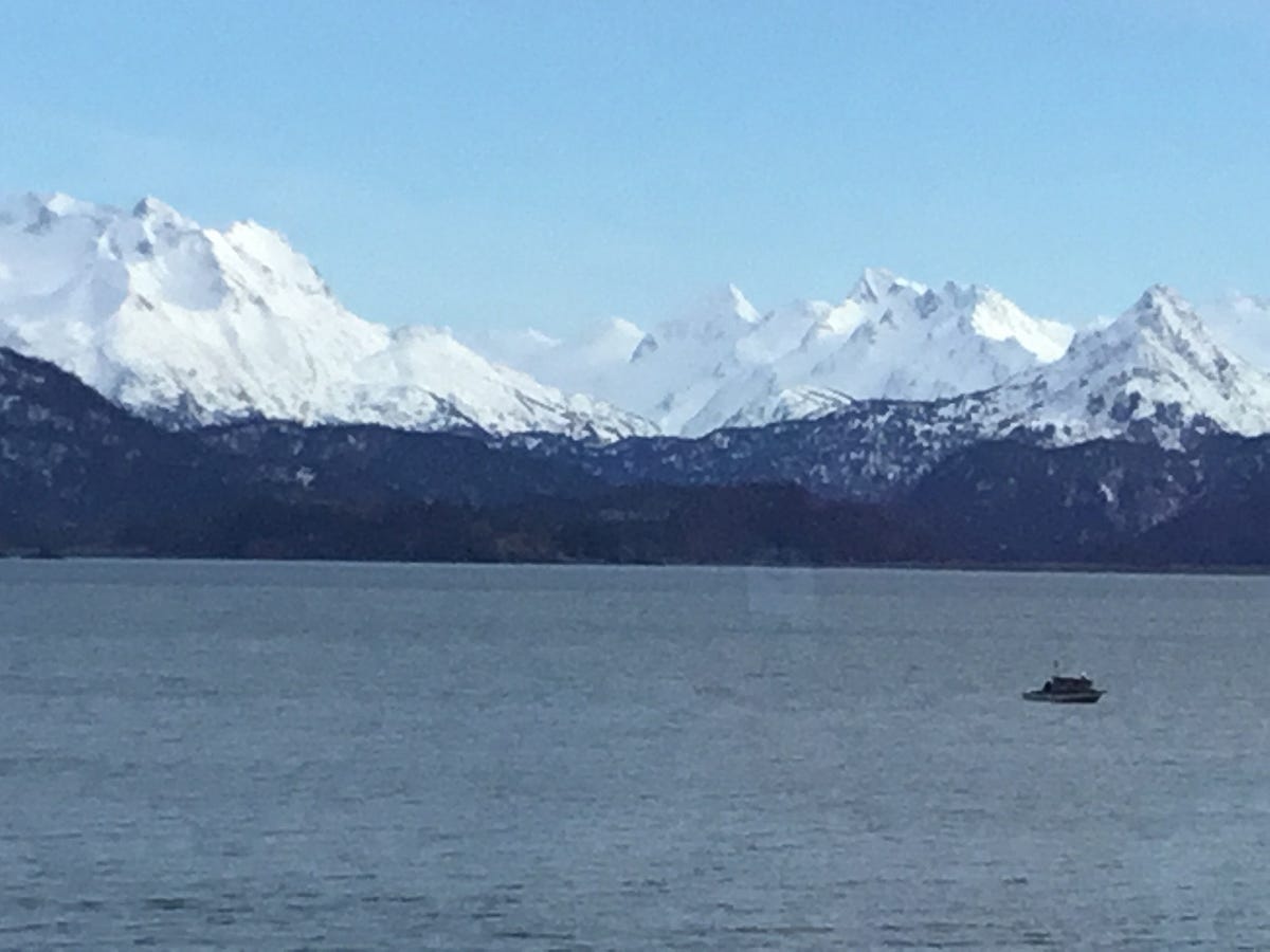 This poem really spoke to me on this death day. | by Georgia Mrkvicka ...