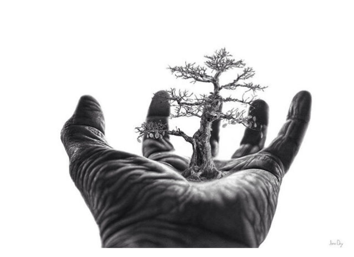 Stop Giving into Fear. Stop going around the roundabout of… | by Jemma ...