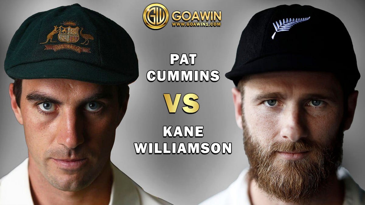 Pat Cummins VS Kane Williamson - Goawin Sports and Casino - Medium