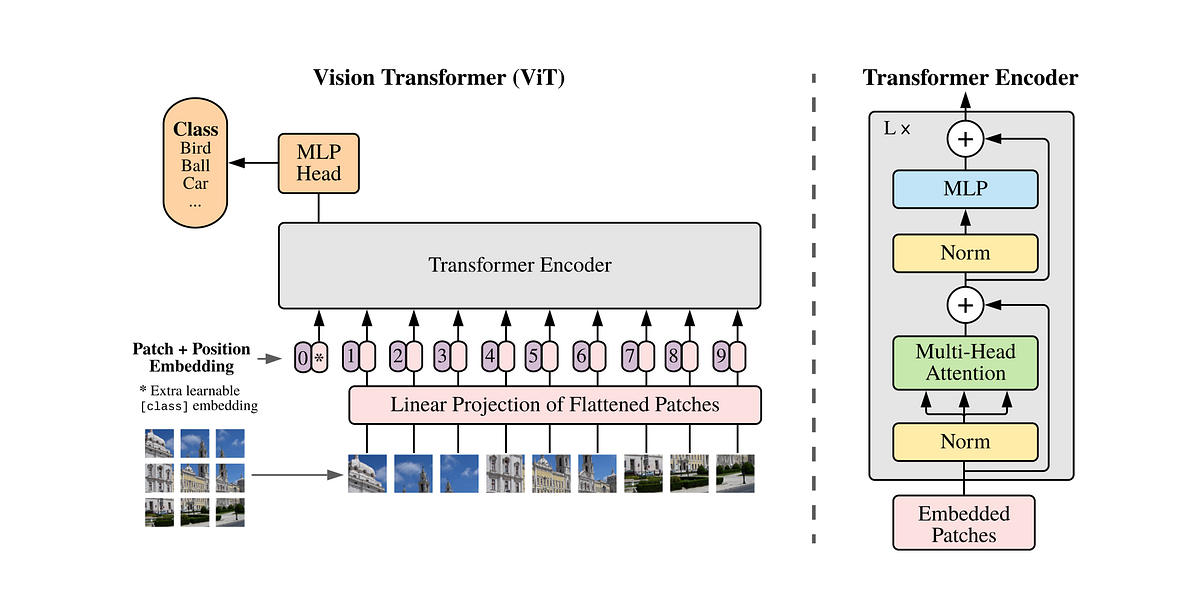 Vision Transformer from scratch using PyTorch | by Mickael Boillaud | Medium