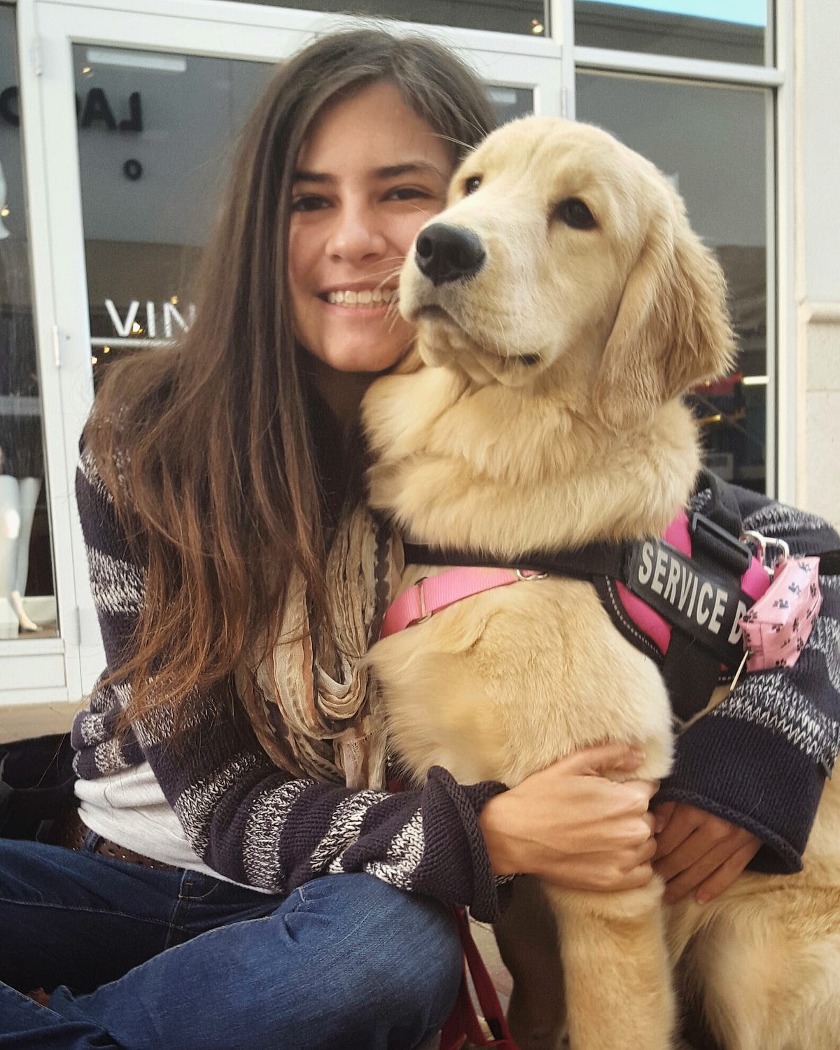 Harlow the helper— the most adorable service dog around. | by Adaptil ...