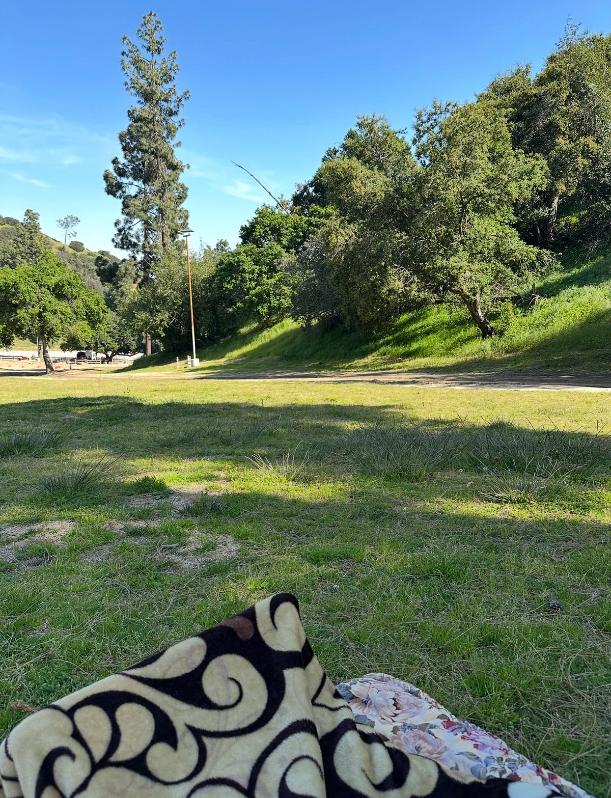 Post 3: Spring Break Reflections. Moments of Rest | by Tiffany Solano ...