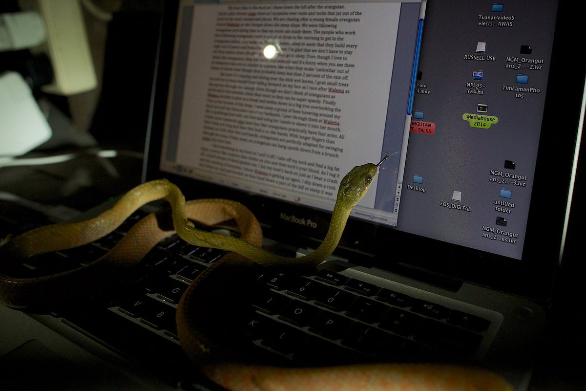 System Administration with Python | by Pystar | Medium