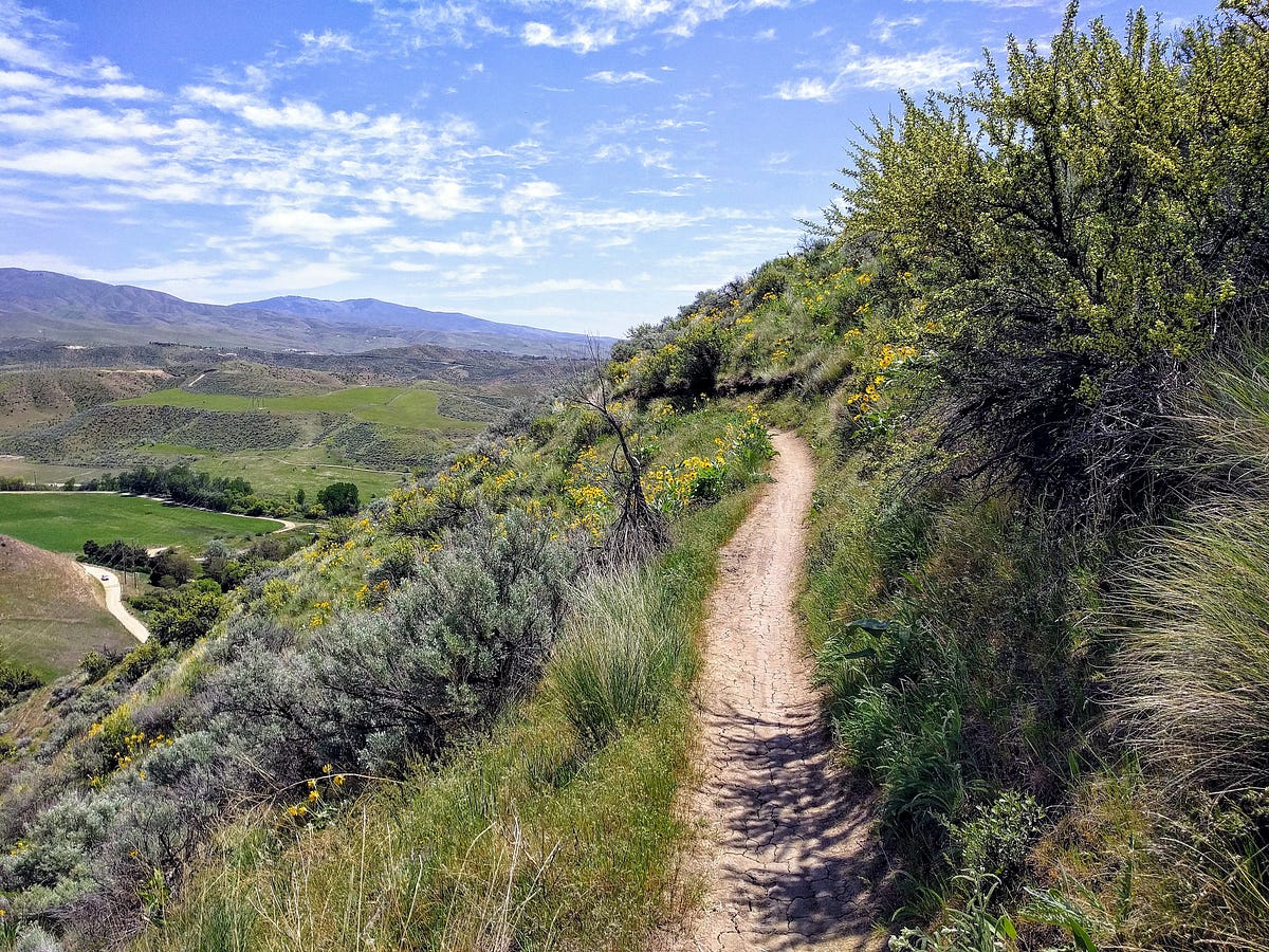 Polecat Loop Trail. Are there polecats in Idaho? What is a… | by ...