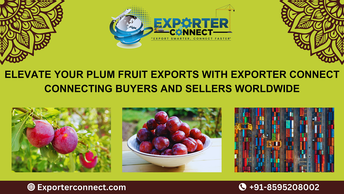 Plum Exporter and Manufacturer. Plum manufacturers and exporters play a ...