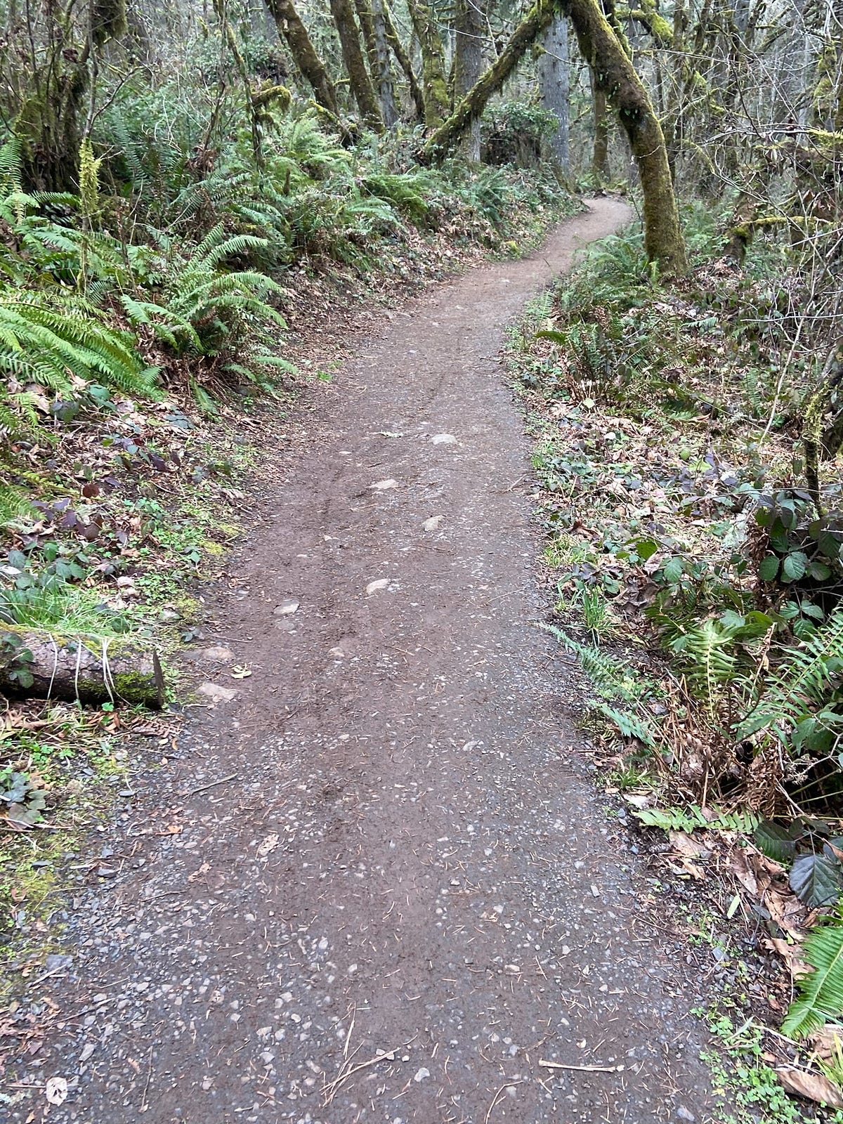It’s A Long Way to the Top. If you Wanna climb that hill! | by Melody ...