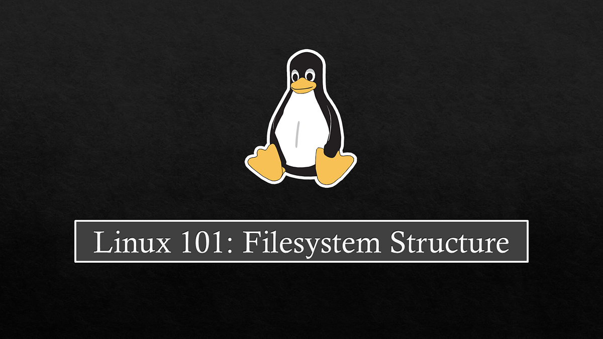 Linux 101: Filesystem Structure. An introduction to the directories that… | by David Varghese ...