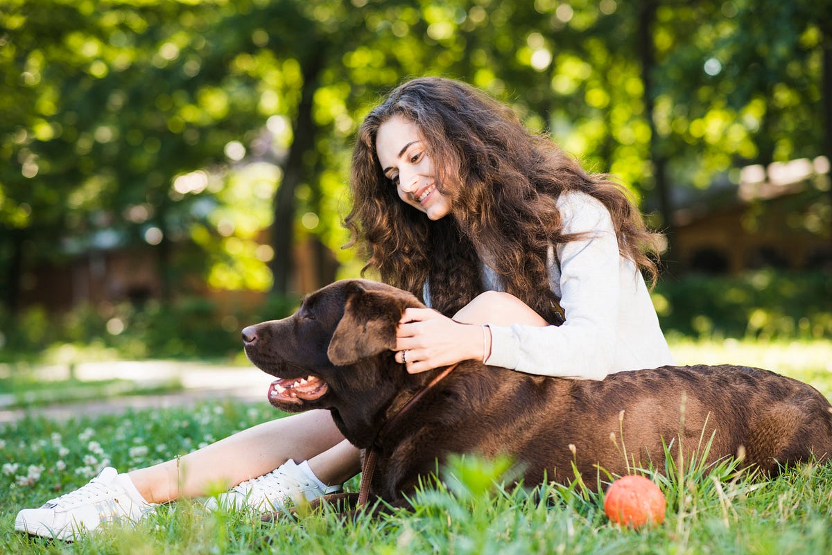 Discover the Surprising Benefits of Lime Sulfur Dip for Your Pet’s ...