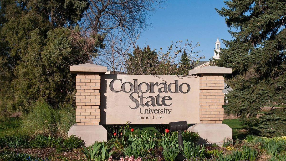 Elevate Your Future with Colorado State University’s MIS Program | by ...