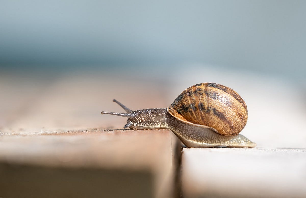 A message from Universe….. Have you ever blamed anyone else for… | by ...