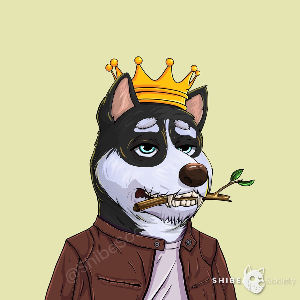 The Shibe Society: A Community Built on Love for Dogs and Crypto | by ...