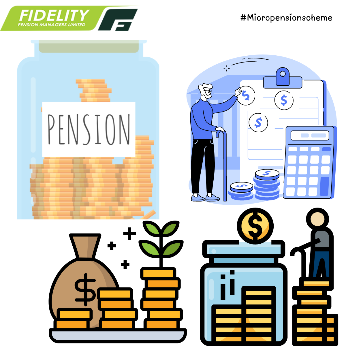 Micro Pension Scheme - Fidelity Pension Managers Limited - Medium
