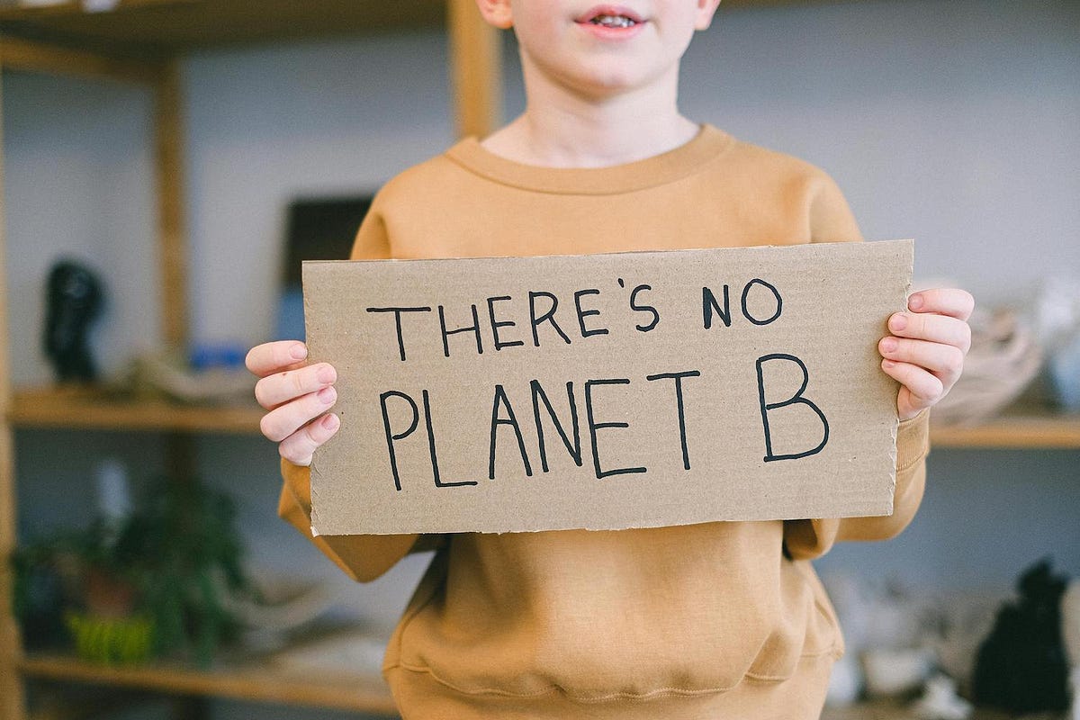Going Green in Business: 6 Simple Steps to a Sustainable Future | by ...