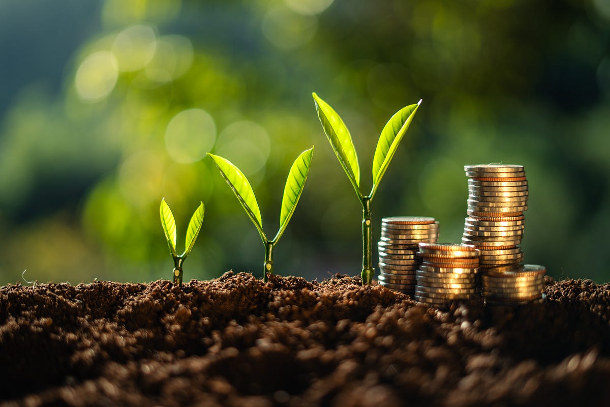 Where I Invest £38,000 of Day Trading Income a Year | by Adam Kuro ...
