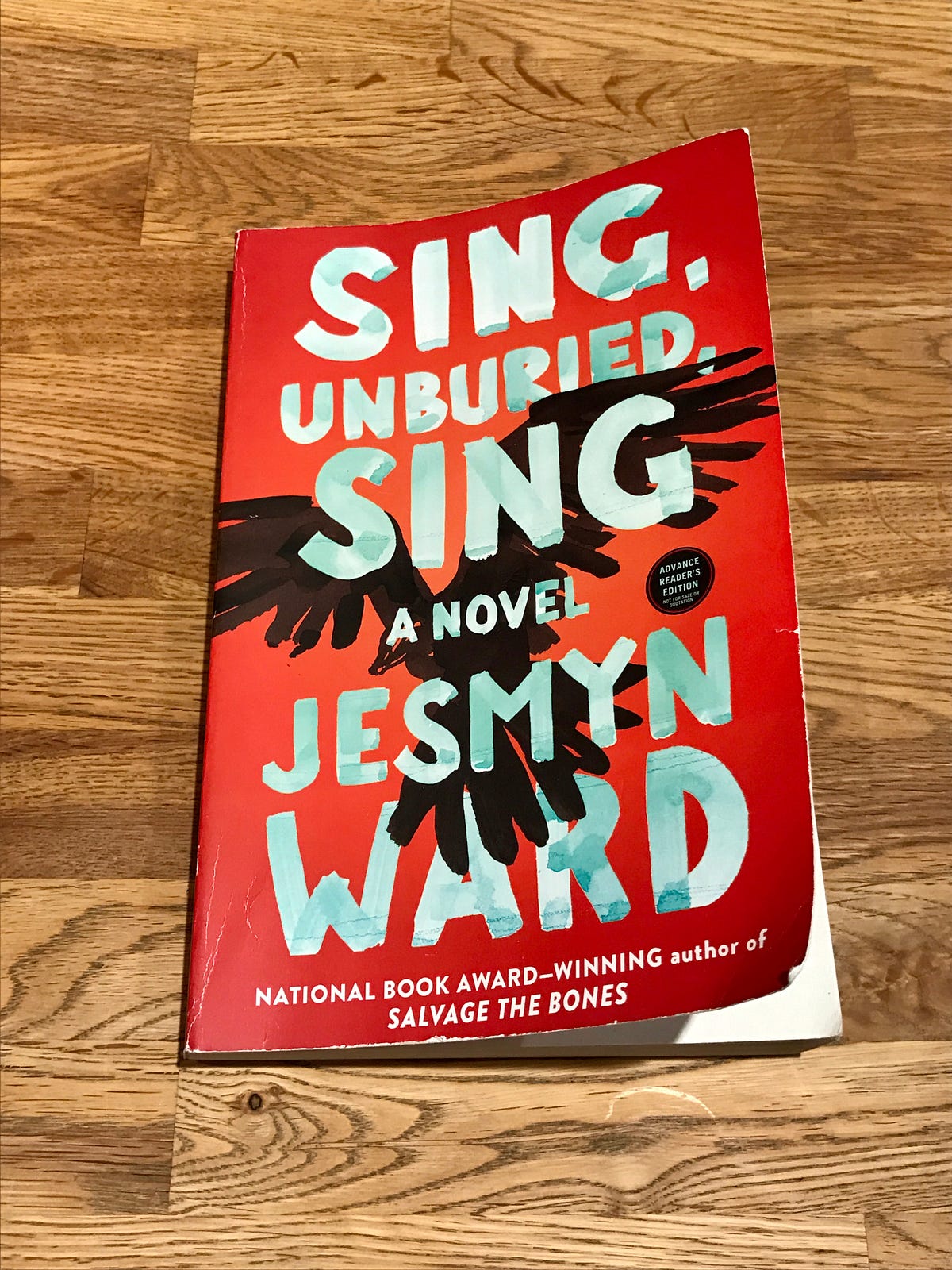 Review: Sing, Unburied, Sing. Here’s what I read this week: Sing… | by ...