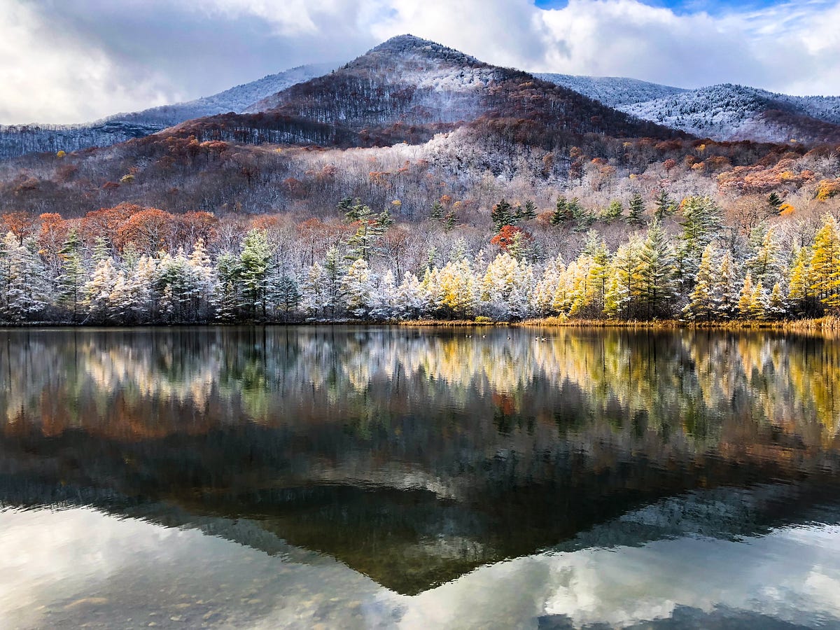 Self-Less Psychotherapy. Experience greater peace and well-being… | by ...