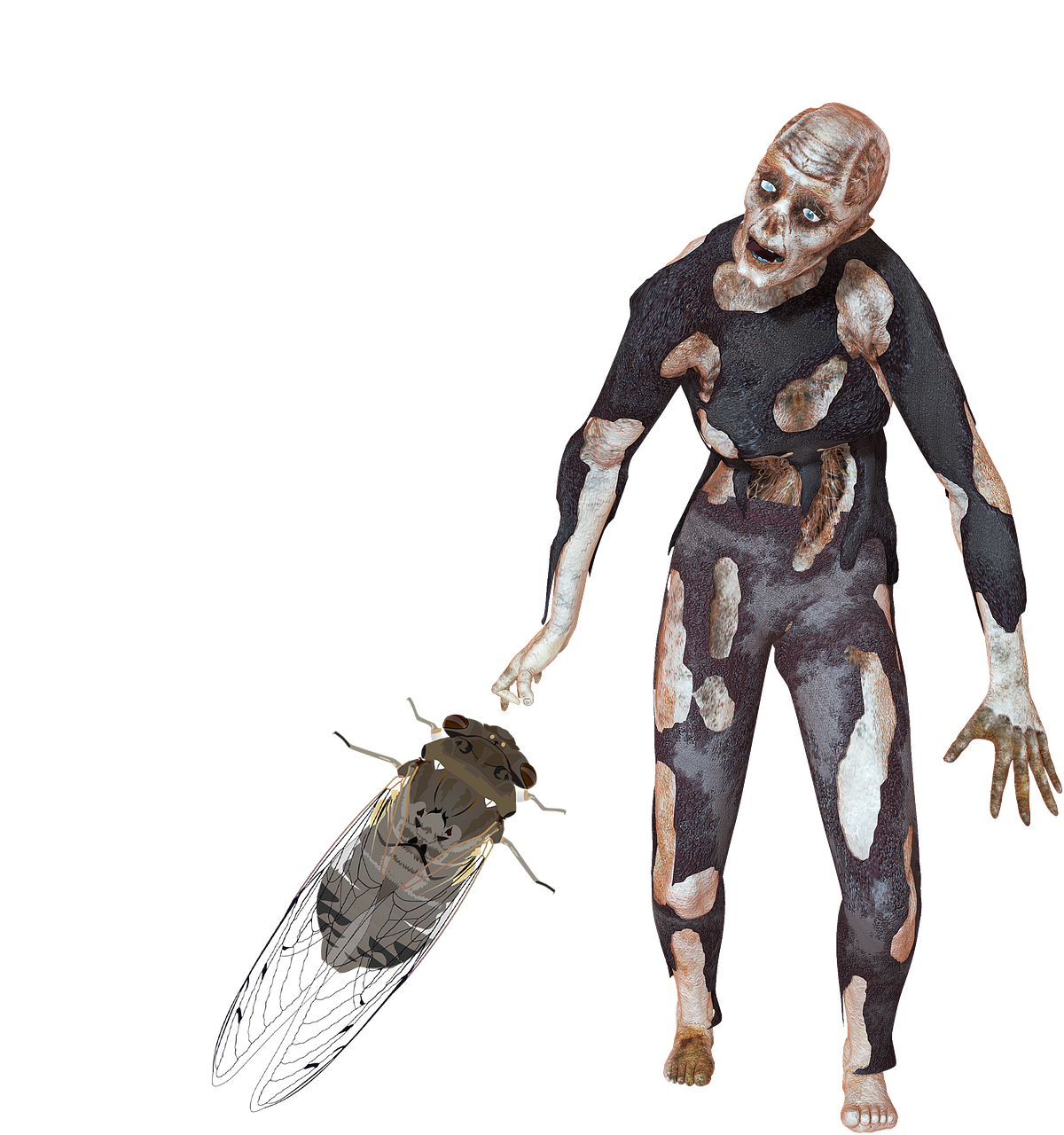 Zombie Cicadas? Come on, 2020. This Is a Bad Plot Twist | by Toni Crowe ...