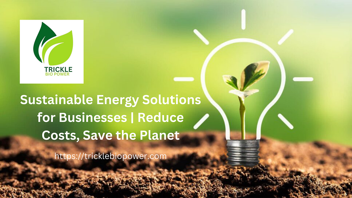 Sustainable Energy Solutions for Businesses | Reduce Costs, Save the ...