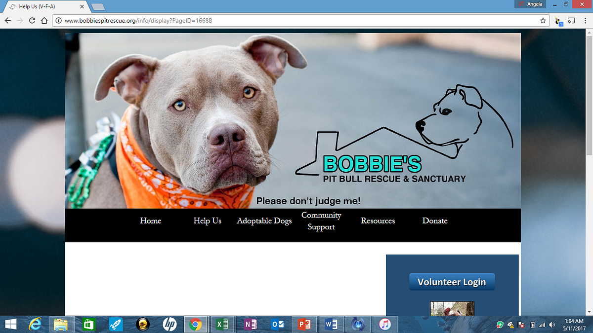 Save a Pit. Bobbies Pit Bull rescue Center &… | by Emmanuel Lee | Medium