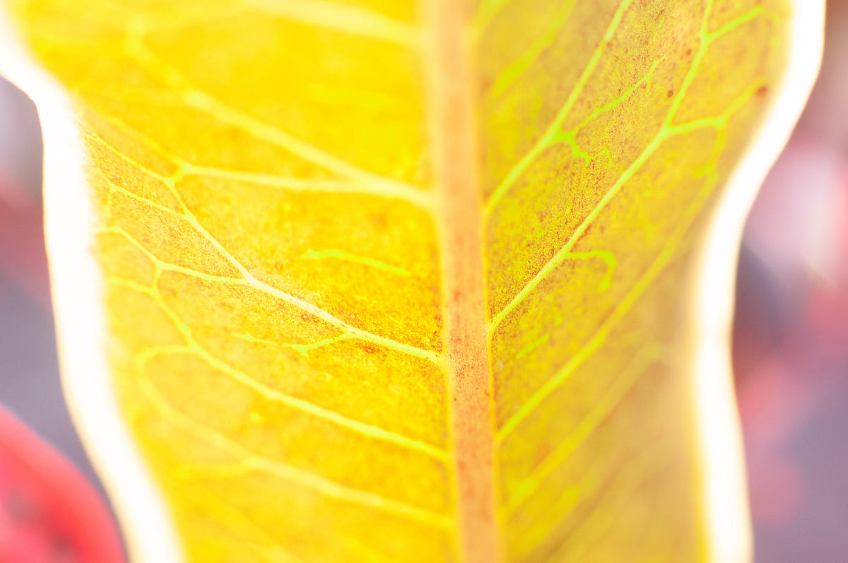 Light, Gesture and Color - ILLUMINATION - Medium