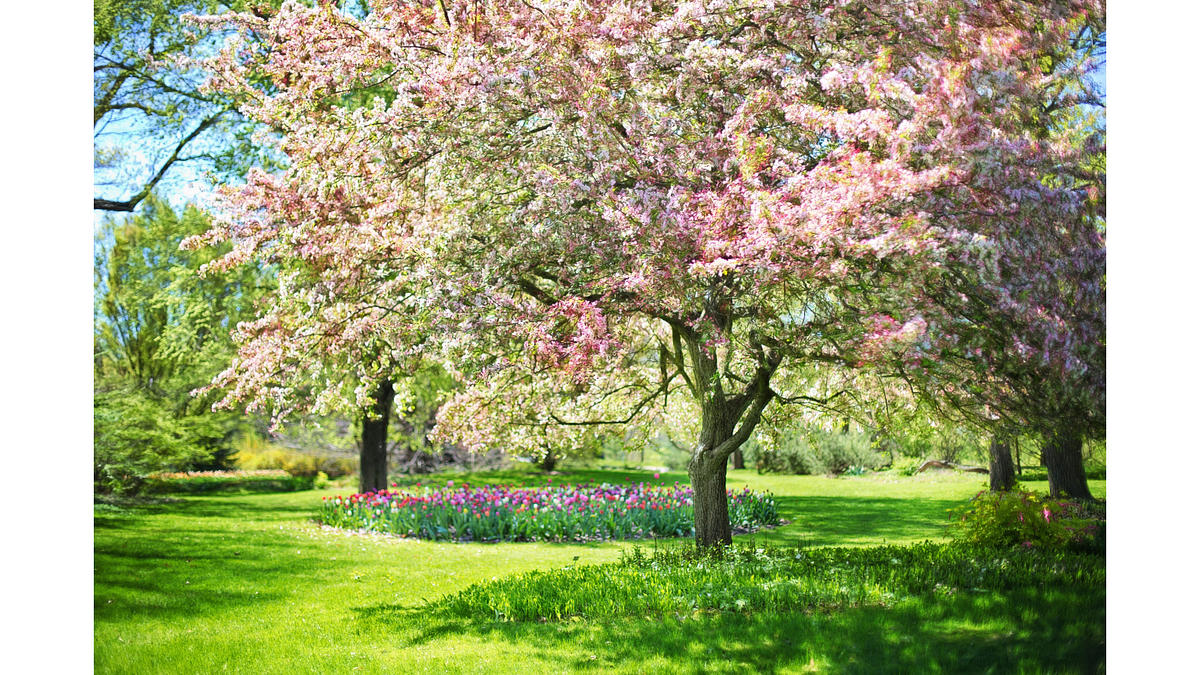 Elevate Your Home: Transformative Landscaping Design Ideas for All ...