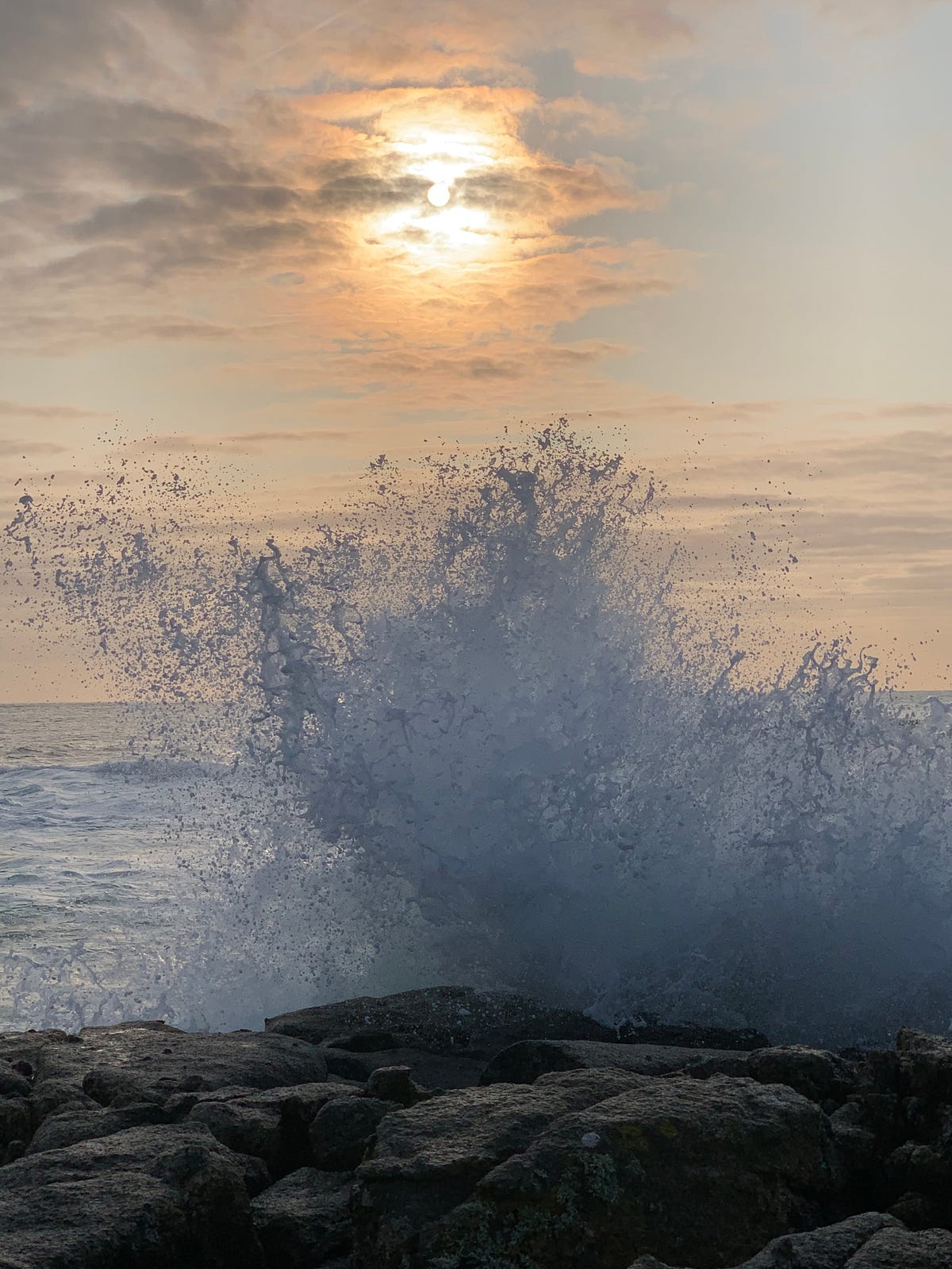 Nature’s Wisdom: Embracing Resilience & Acceptance | by John Britton ...