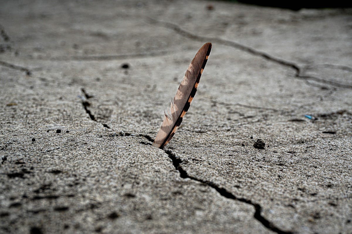 Concrete Woman: What Broke Me, Made Me Unshakable | by DC Allen | Mar ...