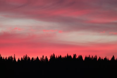 Creating Beauty. I want to create something, art… | by Rark Writes | Medium