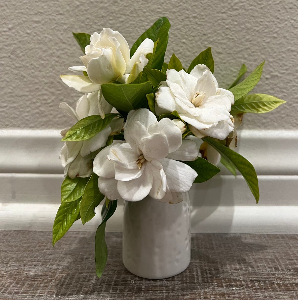 The Fragrance of Gardenia And Chinese Privet | by Dr. Seema Patel (PhD ...