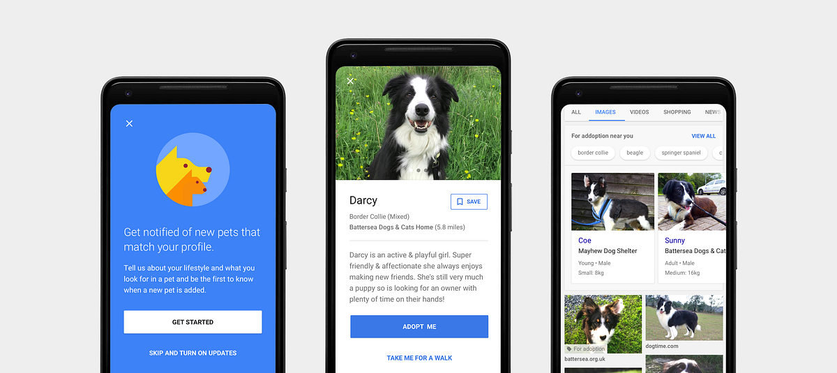 Pet Adoption. Google Design Exercise | by Filipe Roque | Medium